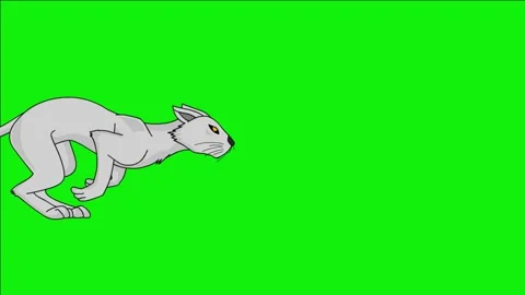 2D Animation of a grey cat running acros... | Stock Video | Pond5