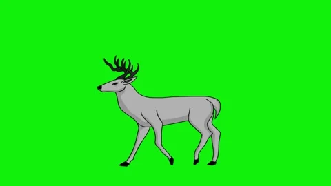 2D Animation of a Grey Deer Walking on a... | Stock Video | Pond5