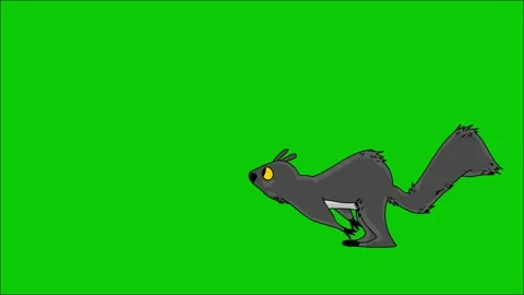 Squirreltail Animation Stock Videos – Royalty-Free HD & 4K Videos