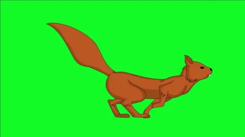 Running Squirrel Animation Stock Footage ~ Royalty Free Stock Videos ...