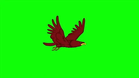2d Animation Of A Maroon Eagle Flying On... | Stock Video | Pond5