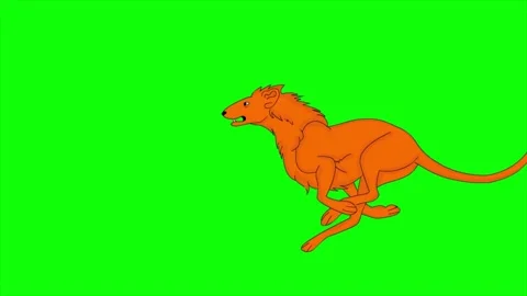 Running Animal Animation Stock Video Footage | Royalty Free Running ...