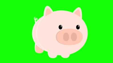 2d animation pig dancing on green screen... | Stock Video | Pond5