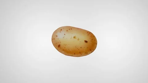 Sweet Potato White Background Stock Footage ~ Royalty Free Stock Videos ...