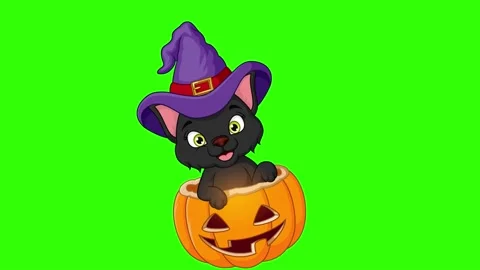 Green Screen Pumpkins Stock Video Footage | Royalty Free Green Screen ...
