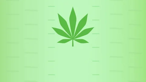 Leaf Animation Stock Footage ~ Royalty Free Stock Videos | Pond5