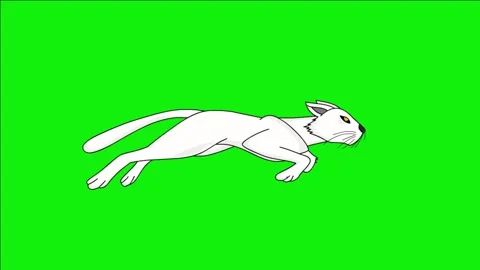 2D Animation of a white cat running acro... | Stock Video | Pond5