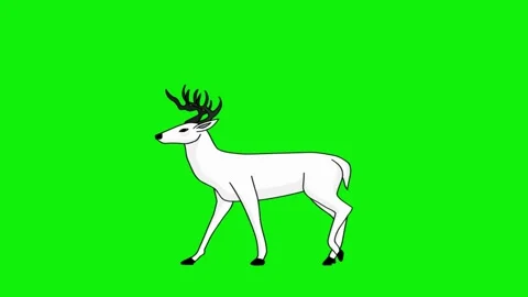 2D Animation of a White Deer Walking on ... | Stock Video | Pond5