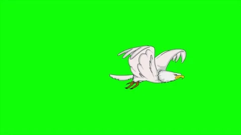 2d Animation Of A White Eagle Flying Acr... | Stock Video | Pond5