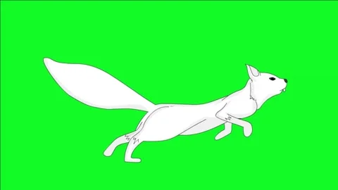 2d Animation Of A White Squirrel Running... | Stock Video | Pond5