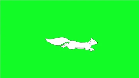2d Animation Of A White Squirrel Running... | Stock Video | Pond5