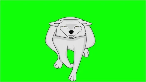 2d Animation Of A White Wolf Running Fro... | Stock Video | Pond5