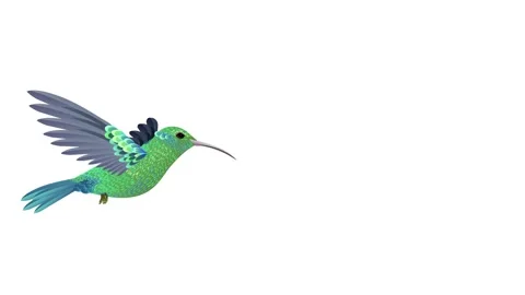 Bird Flying 2D Stock Footage ~ Royalty Free Stock Videos | Pond5
