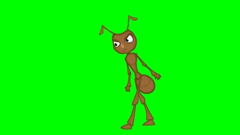 2d cartoon of angry brown ant walking, g... | Stock Video | Pond5