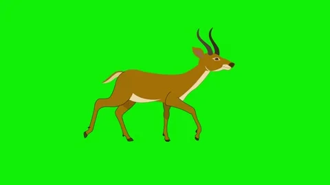 2d cartoon animal deer walk cycle side v... | Stock Video | Pond5