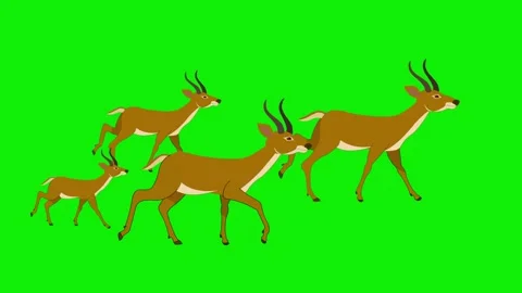 Deer Walk Cycle Stock Video Footage | Royalty Free Deer Walk Cycle ...