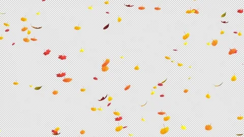 2D Cartoon Falling Autumn Leaves Loops O... | Stock Video | Pond5