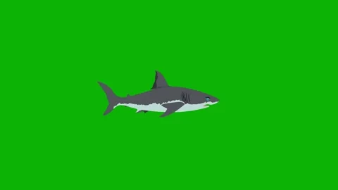 Cartoon Shark Stock Video Footage | Royalty Free Cartoon Shark Videos ...