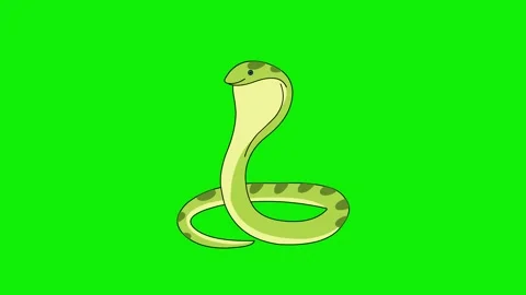 Cartoon Snake Stock Footage ~ Royalty Free Stock Videos | Pond5