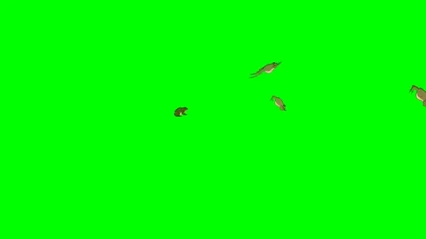 2d frogs jumping on beach, pond, or lotu... | Stock Video | Pond5