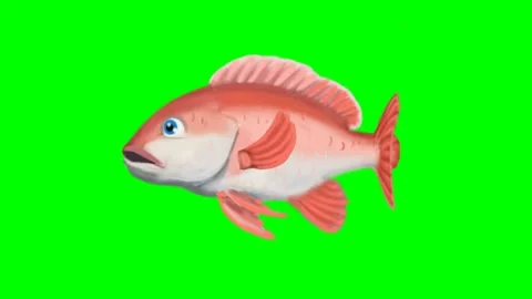 Swimming Animated Stock Videos – Royalty-Free HD & 4K Videos