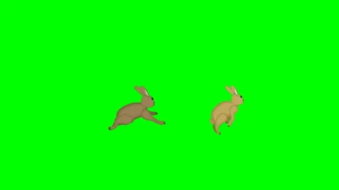 2d rabbits running and grazing in green ... | Stock Video | Pond5
