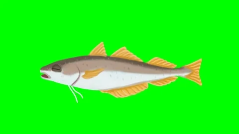 Animated Fish Swimming Stock Video Footage | Royalty Free Animated Fish ...