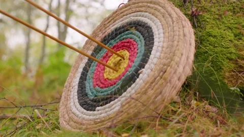 2 Floor Target Stock Videos – Royalty-Free HD & 4K Videos