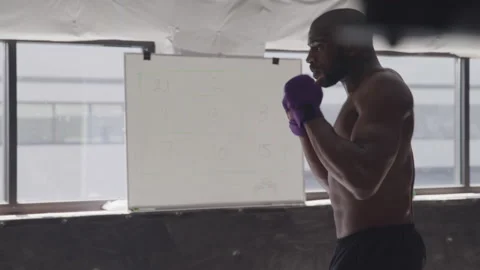 30-Something Boxer with Muscular Back Sh... | Stock Video | Pond5