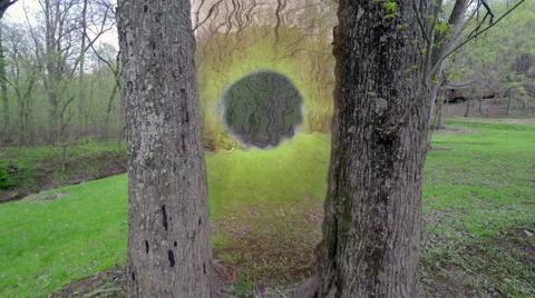 3498 Flying Through Tree Portal into Spa... | Stock Video | Pond5