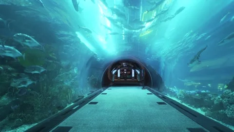 360 degree rotating shot of the aquarium... | Stock Video | Pond5