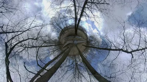 A 360 VR autumn walk in the forest. Tiny... | Stock Video | Pond5