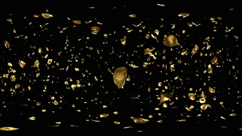 360 VR Flying Romantic golden Flower Pet... | Stock Video | Pond5