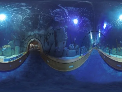 360 VR Inside Oceanografic in Valencia, ... | Stock Video | Pond5