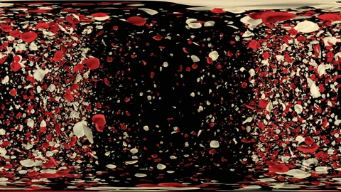 360 VR Romantic red white rose Flower Pe... | Stock Video | Pond5