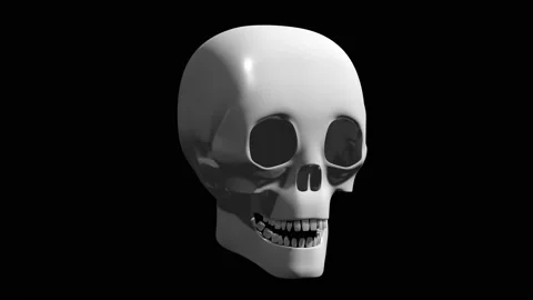 3D 4k rotating human skull | Stock Video | Pond5