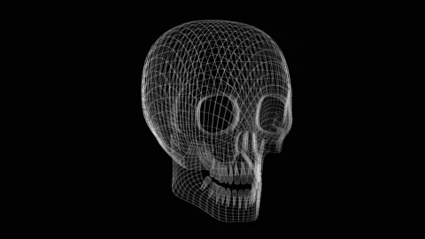 3D 4k rotating human skull - wireframe | Stock Video | Pond5