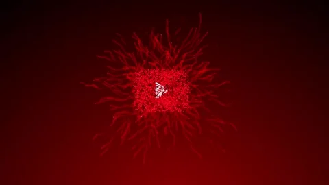 Youtube The Nenn Stock Videos – Royalty-Free HD & 4K Videos | Pond5