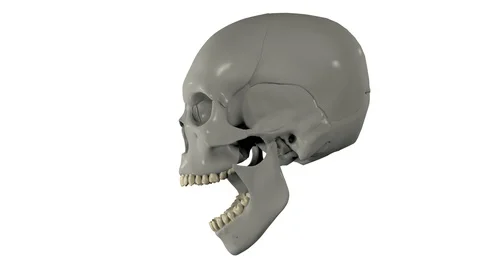 3D and Real Skull turntable. Looped. alp... | Stock Video | Pond5