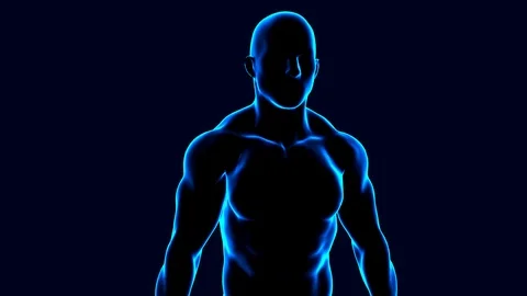 3d animated male body anatomy spinning o... | Stock Video | Pond5