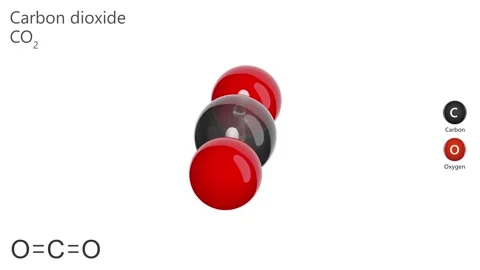 3d animated model of the carbon dioxide ... | Stock Video | Pond5