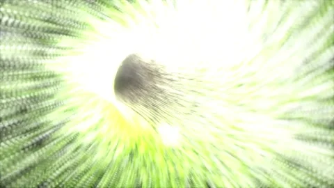 Wormhole Animated Animation Stock Video Footage | Royalty Free Wormhole ...
