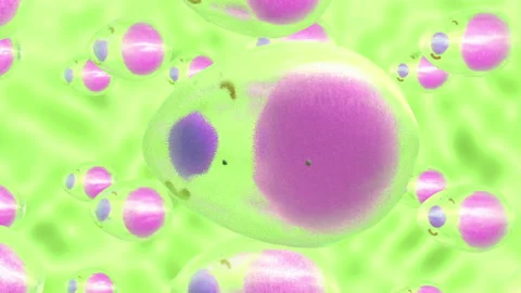 3D animation of adipocytes that increase... | Stock Video | Pond5