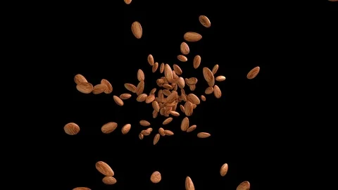 Almond Animation Stock Video Footage | Royalty Free Almond Animation ...