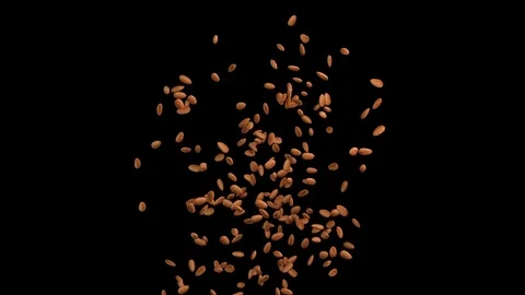 Almond Animation Stock Video Footage | Royalty Free Almond Animation ...