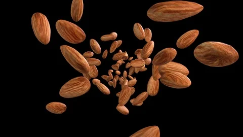 Almond Animation Stock Video Footage | Royalty Free Almond Animation ...