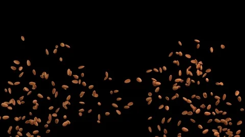 Almond Animation Stock Video Footage | Royalty Free Almond Animation ...