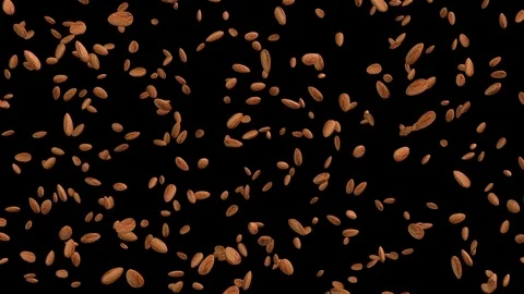 Almond Animation Stock Video Footage | Royalty Free Almond Animation ...