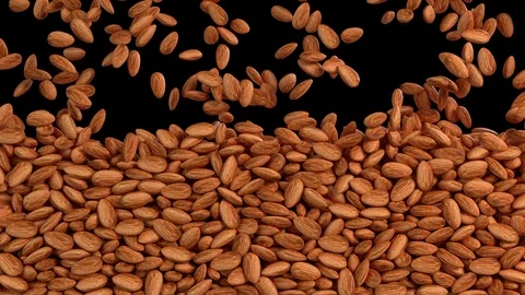 Almond Animation Stock Video Footage | Royalty Free Almond Animation ...
