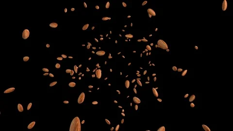 Almond Animation Stock Video Footage | Royalty Free Almond Animation ...